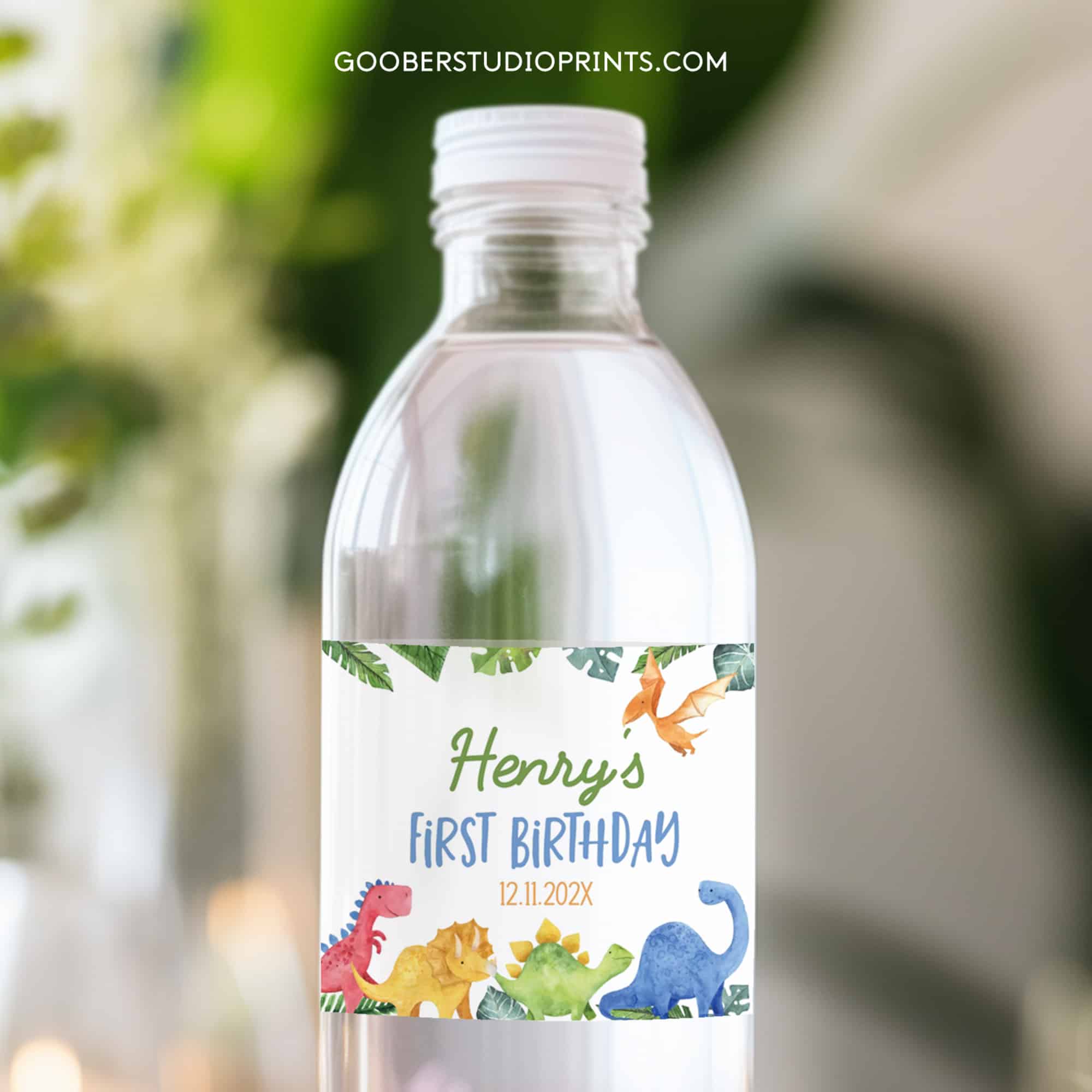 Dinosaur Birthday Water Bottle Label - Goober Studio Prints