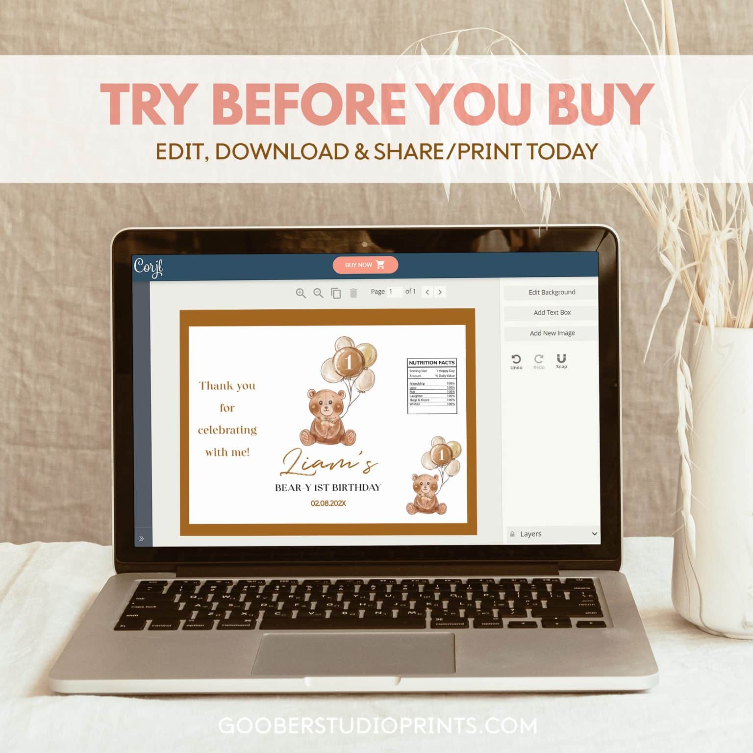 Teddy Bear Birthday Chip Bags - Goober Studio Prints