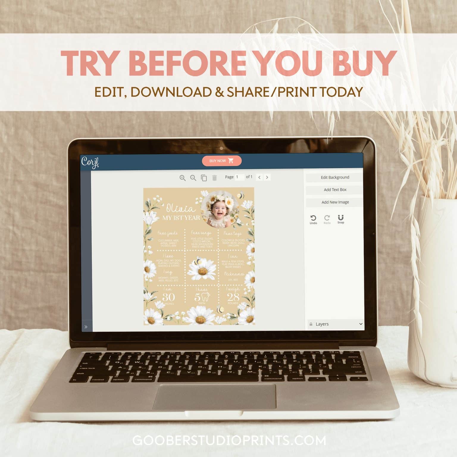 Daisy & Bee Birthday Milestone Photo Poster - Goober Studio Prints