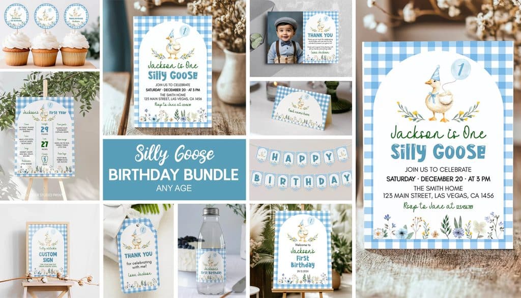 Silly Goose Birthday Party Ideas for Kids: Activities, Decor, Food and ...
