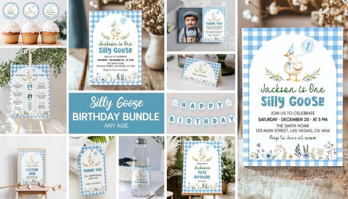 Silly Goose Birthday Party Ideas for Kids: Activities, Decor, Food and ...