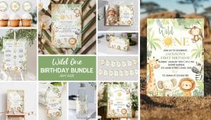 25 Wild One Birthday Theme Ideas for an Unforgettable 1st Birthday ...