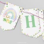 Lucky One Birthday Banner - Goober Studio Prints