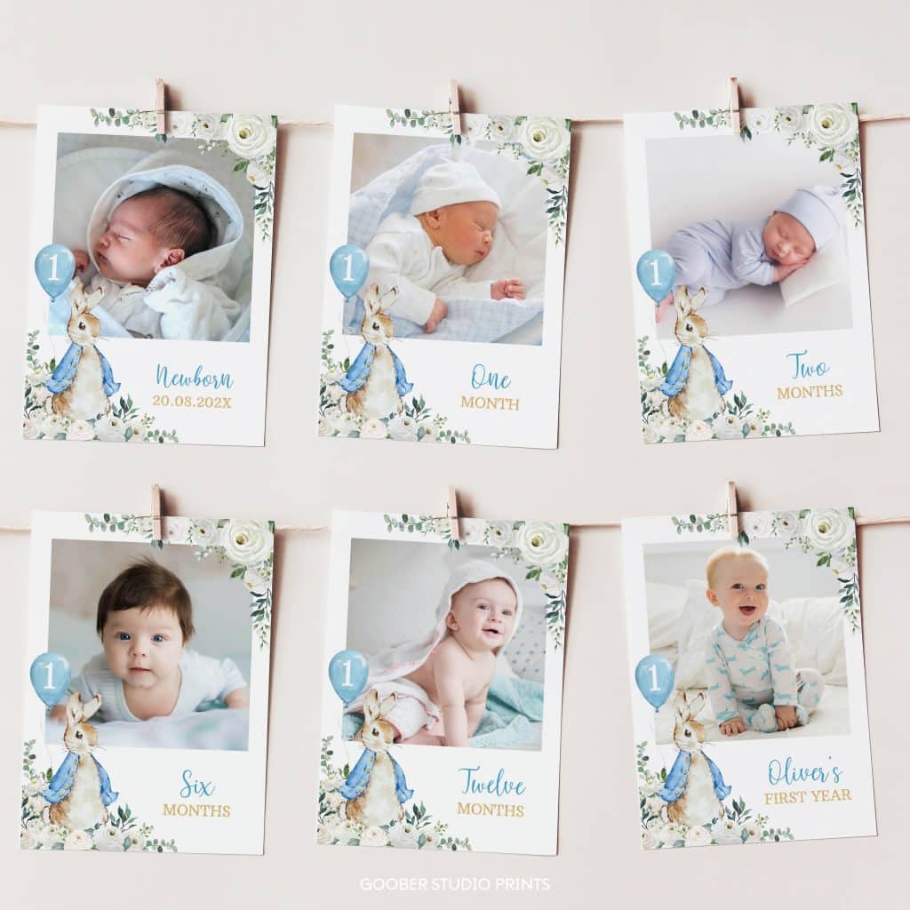 Peter Rabbit Birthday Monthly Photo Banner - Goober Studio Prints