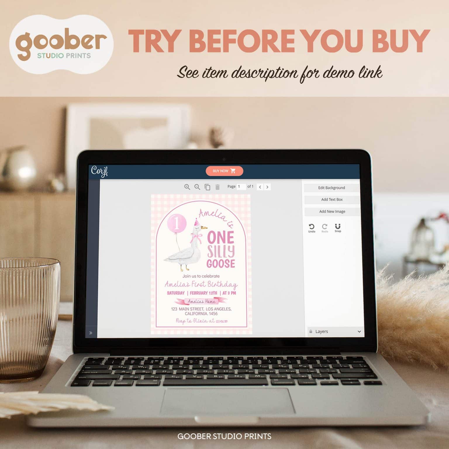 One Silly Goose Birthday Party Bundle - Goober Studio Prints