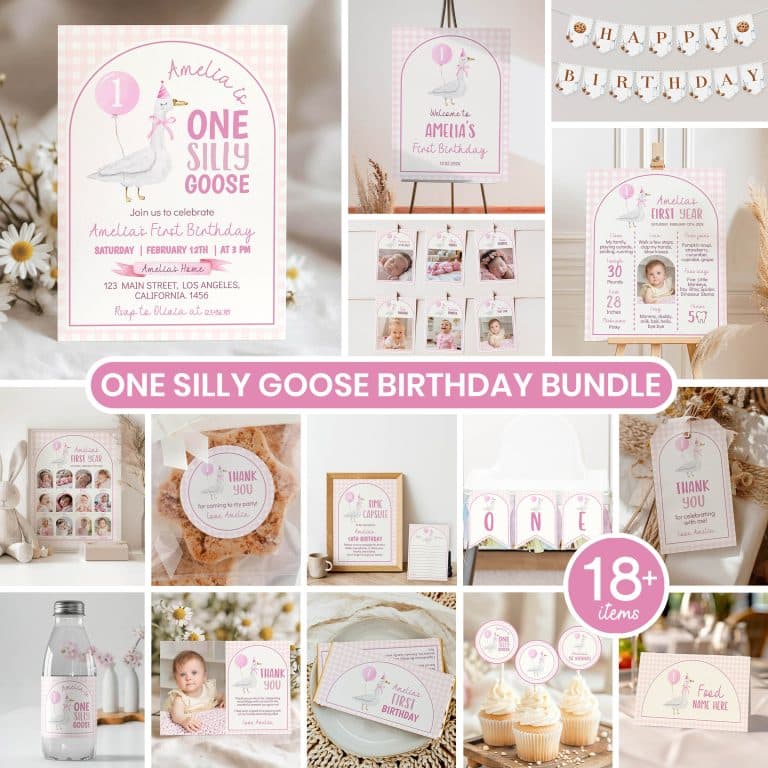 One Silly Goose Birthday Party Bundle - Goober Studio Prints