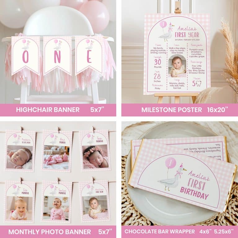 One Silly Goose Birthday Party Bundle - Goober Studio Prints