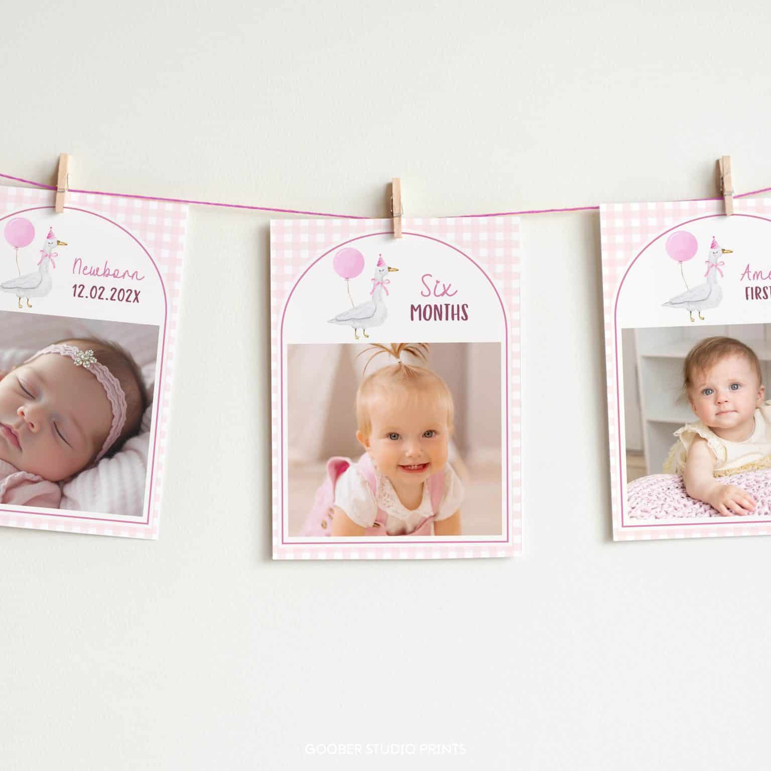Silly Goose Birthday Monthly Photo Banner - Goober Studio Prints