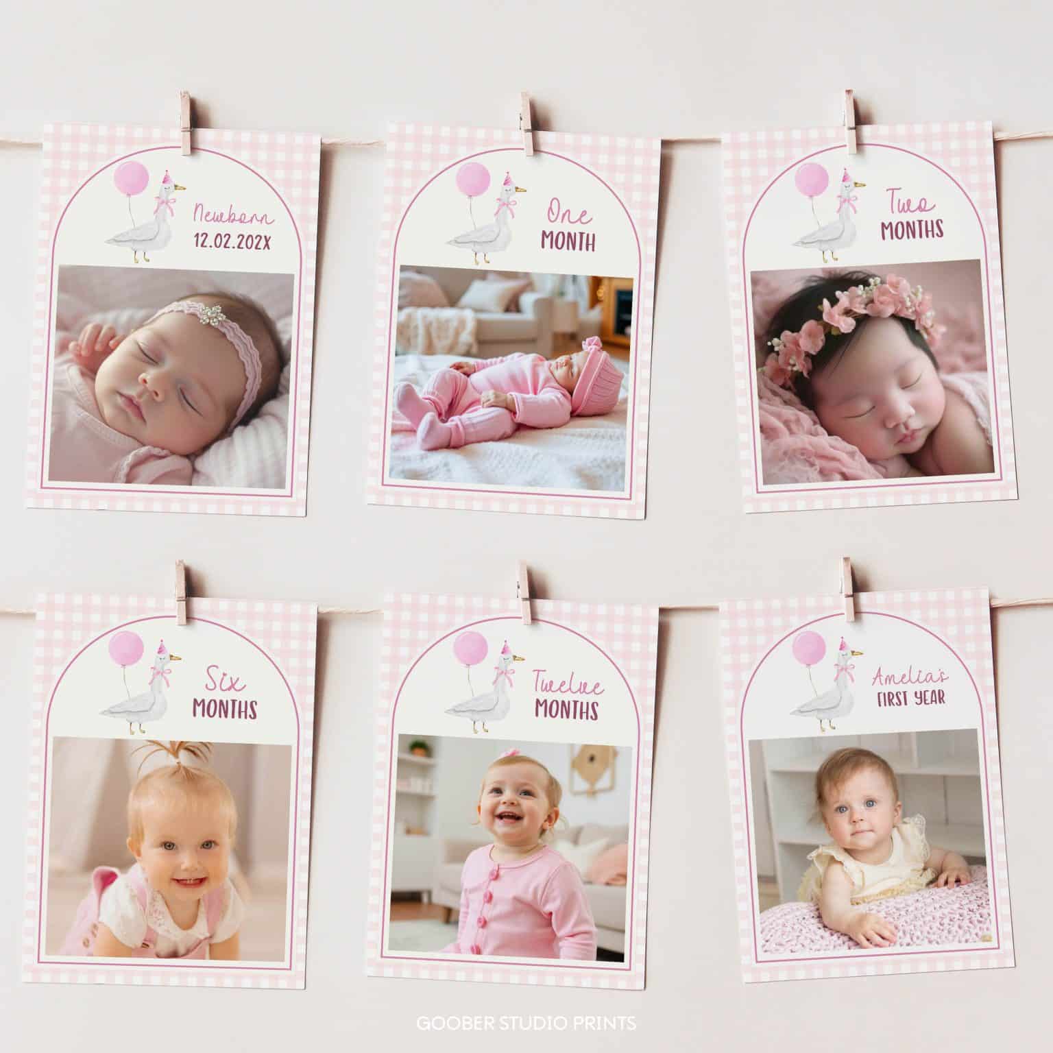 Silly Goose Birthday Time Capsule Sign & Card - Goober Studio Prints