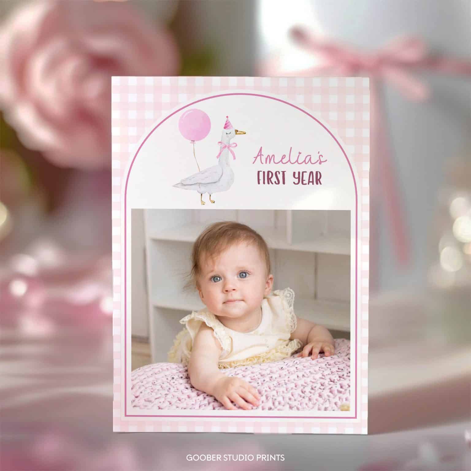 Silly Goose Birthday Monthly Photo Banner - Goober Studio Prints