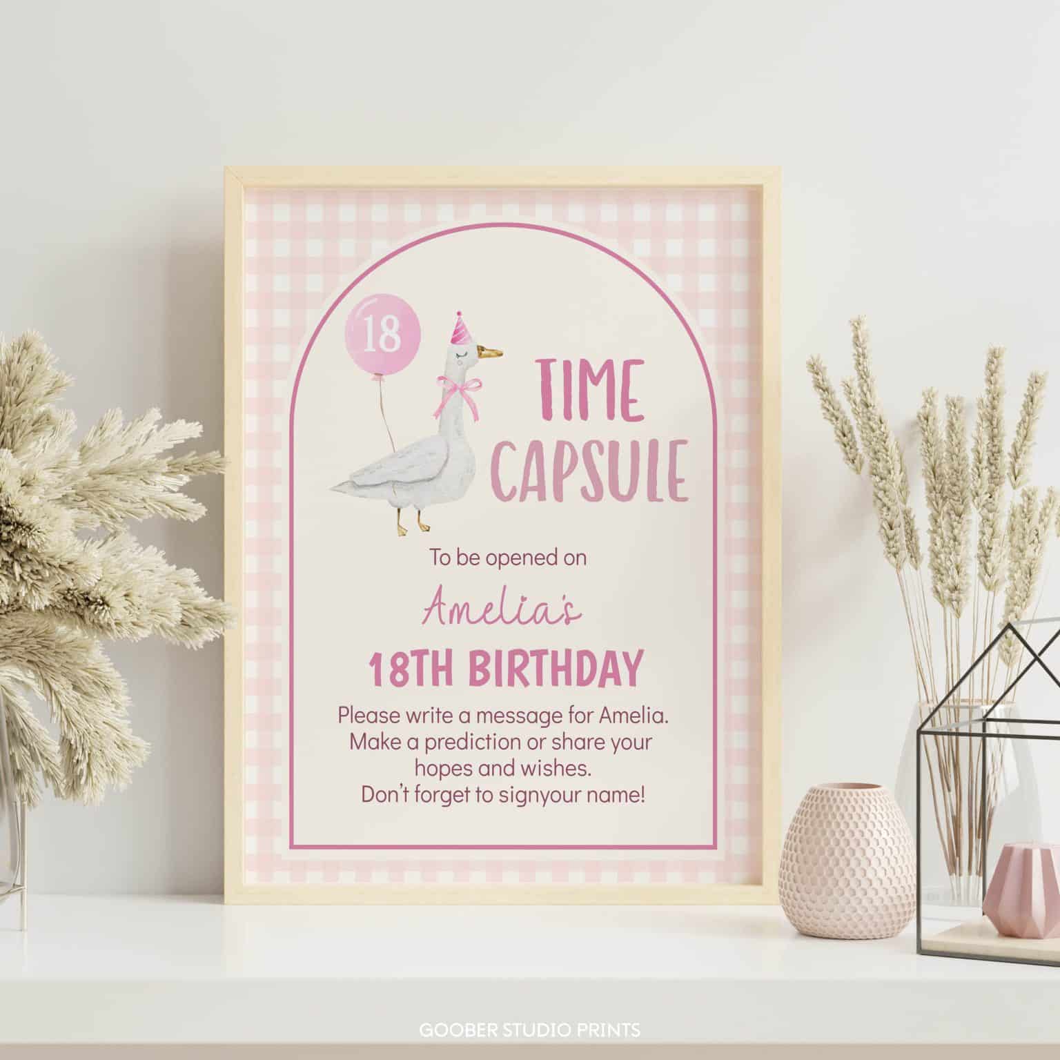 Silly Goose Birthday Time Capsule Sign & Card - Goober Studio Prints